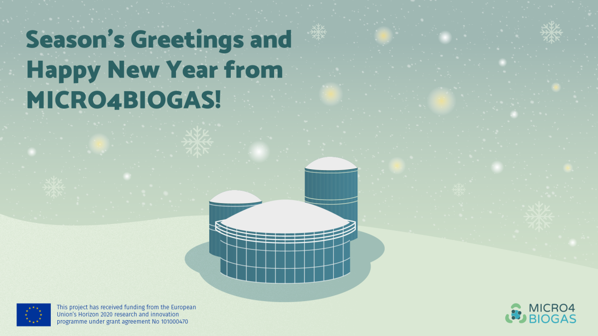 Looking back at a productive year - let’s keep on upping the biogas game in 2024! - Micro4Biogas